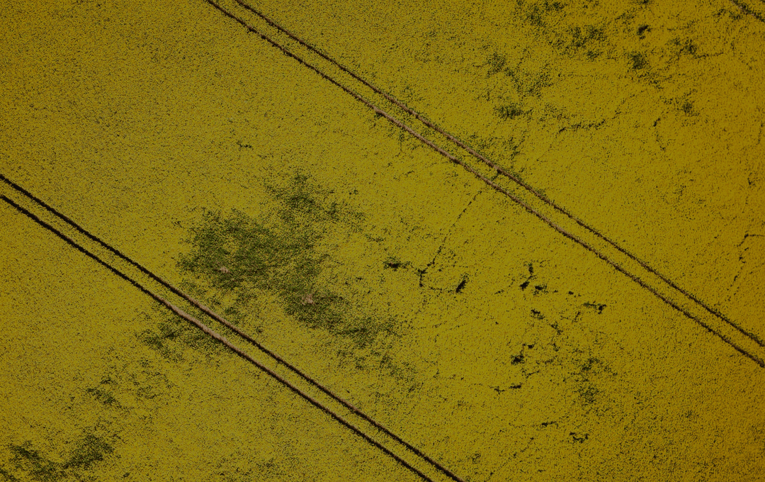 About Enko: our mission, team members, leadership, and boards